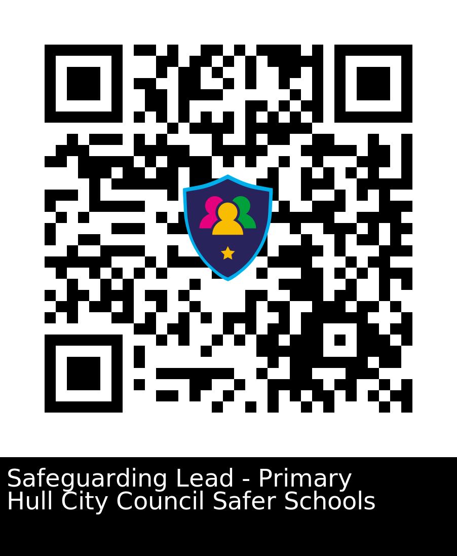 Hull City Council Safer Schools - Safer Schools